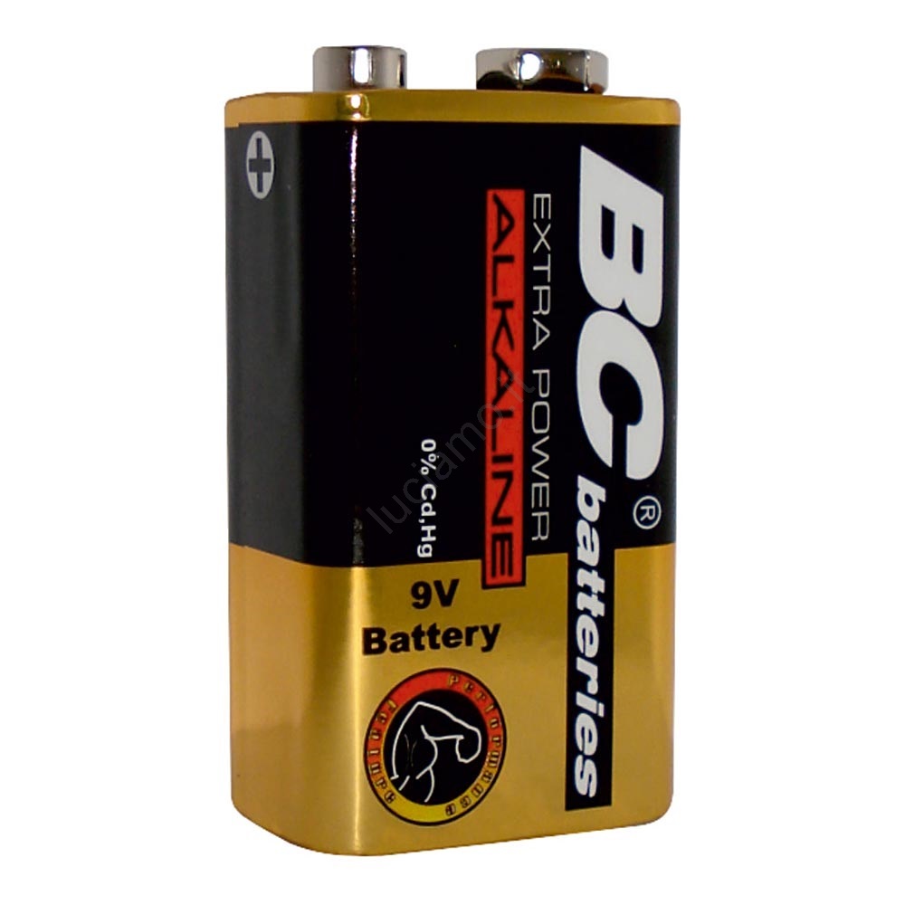 Batteria alcalina EXTRA POWER 9V | Luciamo